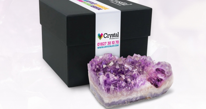 Crystal launches intermediary health and wellbeing campaign | Financial ...